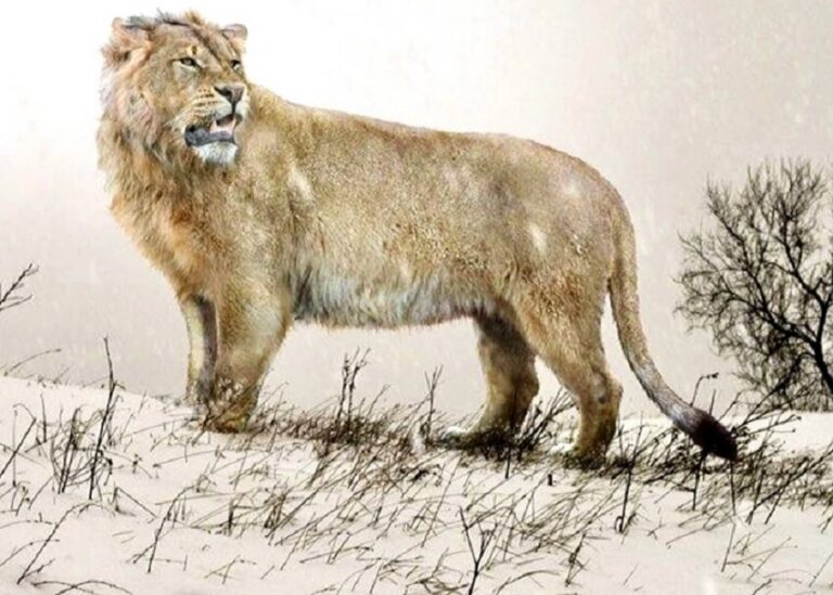 Top 10 Famous Extinct Animals That Once Ruled the Earth