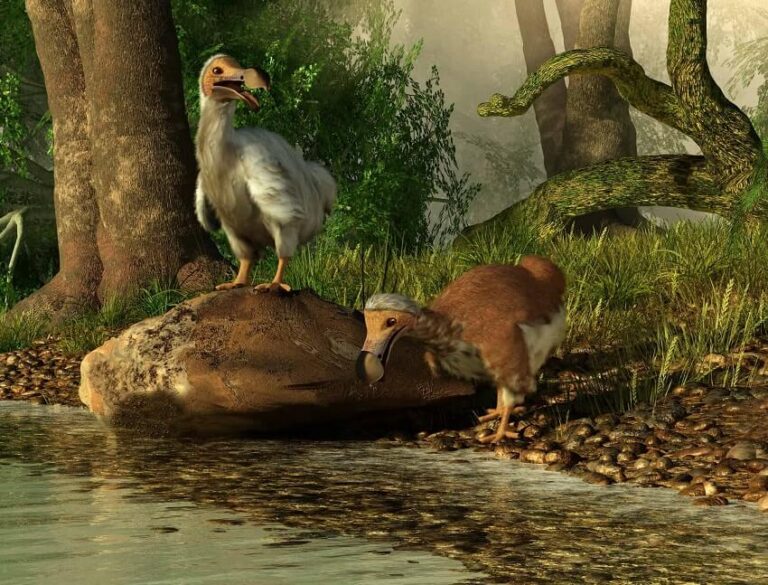 Top 10 Famous Extinct Animals That Once Ruled the Earth
