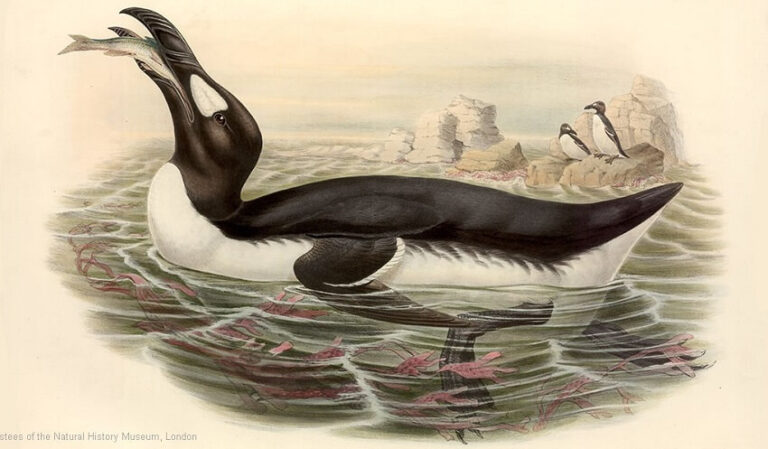 Top 10 Famous Extinct Animals That Once Ruled the Earth